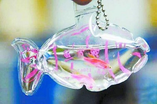 Live fish keyring, tattooed fish and preserved fish ‘art’ are really ...