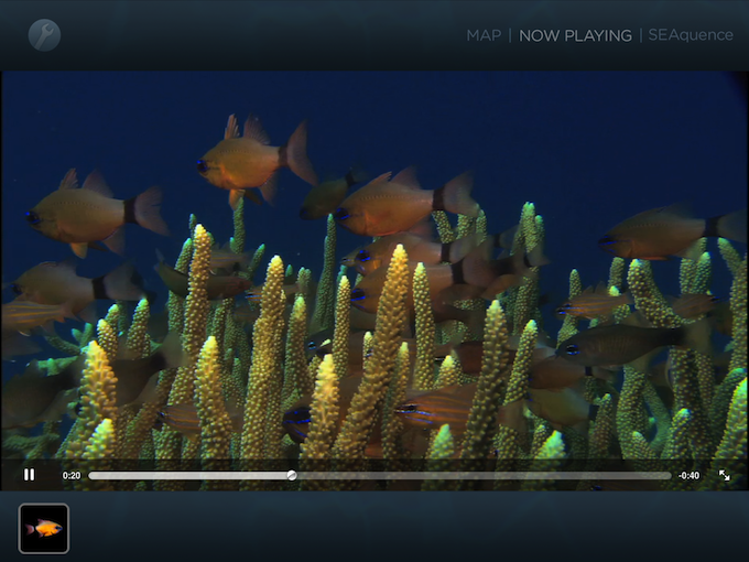 iPad app review: SeaHD by Air Sea Land and Reef Critters Hawaii by ...