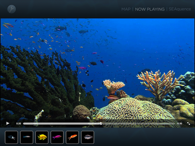 iPad app review: SeaHD by Air Sea Land and Reef Critters Hawaii by ...
