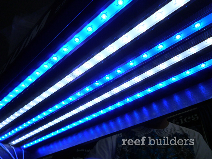 Illuminarium Trident LED striplights a budget-friendly way to add LEDs ...