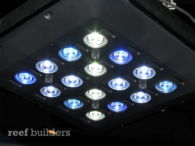 More details on the forthcoming Maxspect Mazarra X | Reef Builders ...