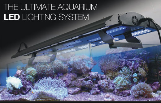Aqua Lumi High Output LED Light Unit spotted in UK via iQuatics | Reef ...