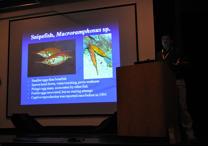 MBI’s Marine Breeding Workshop, Year Two in Review | Reef Builders ...