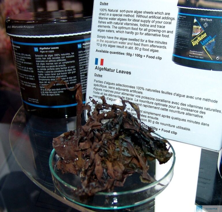 Grotech Alge Natur Leaves (Algae Sheets) | Reef Builders | The Reef and ...