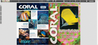 Tag: CORAL magazine | Reef Builders | The Reef and Saltwater Aquarium Blog