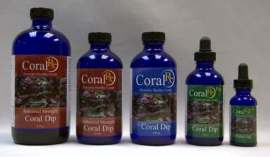 Coral Rx is the Joe’s Juice of coral dips, especially for removing ...
