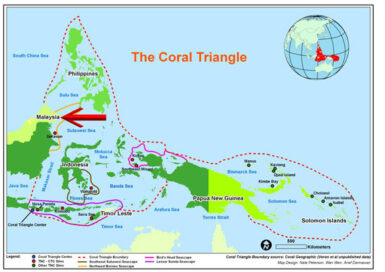 New corals being exported from East Malaysia, Borneo, just inside the ...