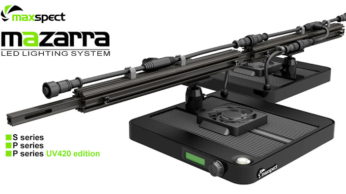 Maxspect Mazarra LED branches out into the S and P series | Reef ...