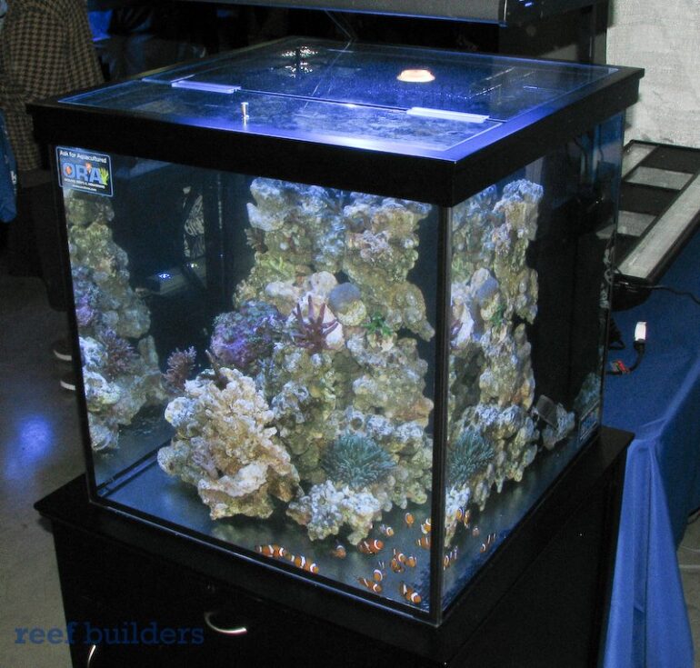 Current’s Solana 67 XL and 60 XL hands on | Reef Builders | The Reef ...