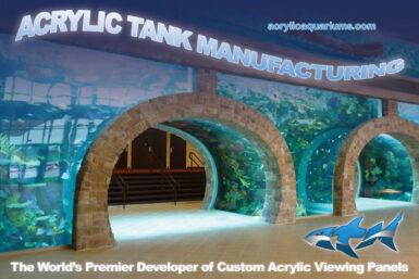 “Tanked” - Animal Planet soon rolling out new aquarium reality show ...