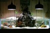 Aquascaping “Outside The Box” The Volcano-scape of Kyle Verry | Reef ...