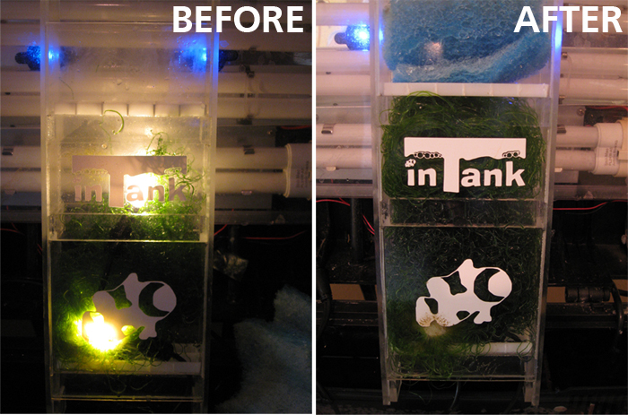 inTank submersible refugium light is ingeniously simple | Reef Builders ...