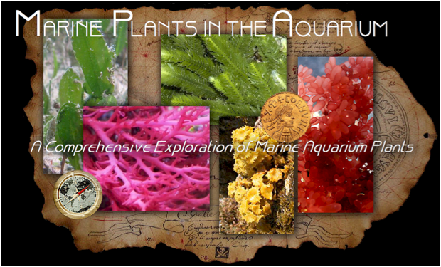 Marine Plants in the Aquarium is a comprehensive website on captive ...