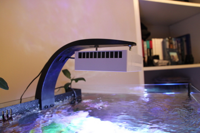 AI Nano LED review: good things can exist in small packages | Reef ...