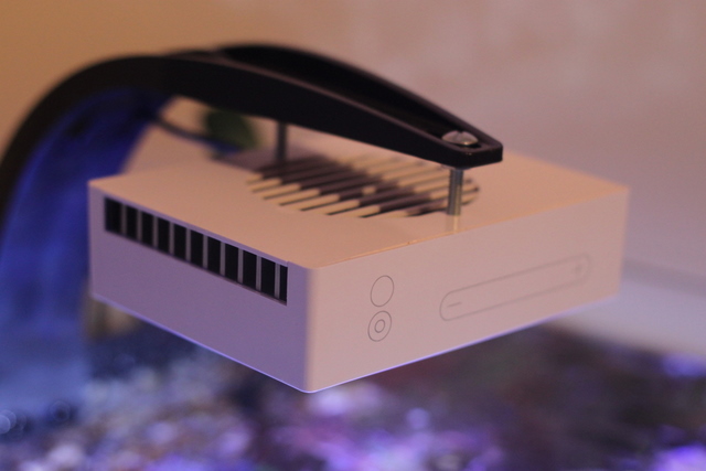 AI Nano LED review: good things can exist in small packages | Reef ...