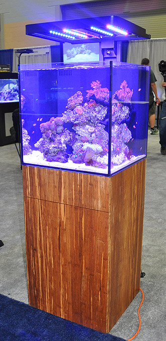 Ecoxotic Shows off bamboo stand concept | Reef Builders | The Reef and ...