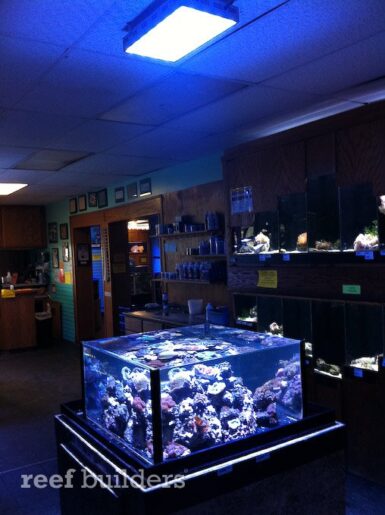 Creative use of EcoRay LED illustrates the limitation of using narrow ...