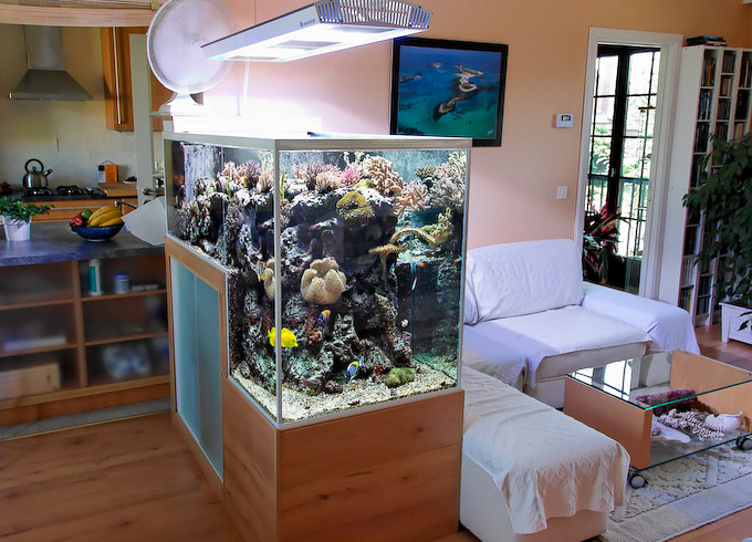 The Drop-Off Reef Aquarium of Philippe Grosjean | Reef Builders | The ...