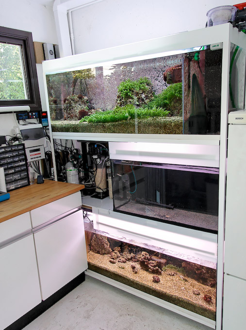 The Drop-Off Reef Aquarium of Philippe Grosjean | Reef Builders | The ...