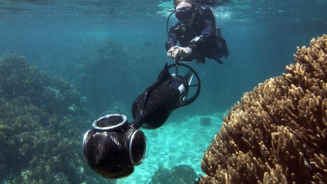 Google Reef View is a collaboration to do street view video survey of ...