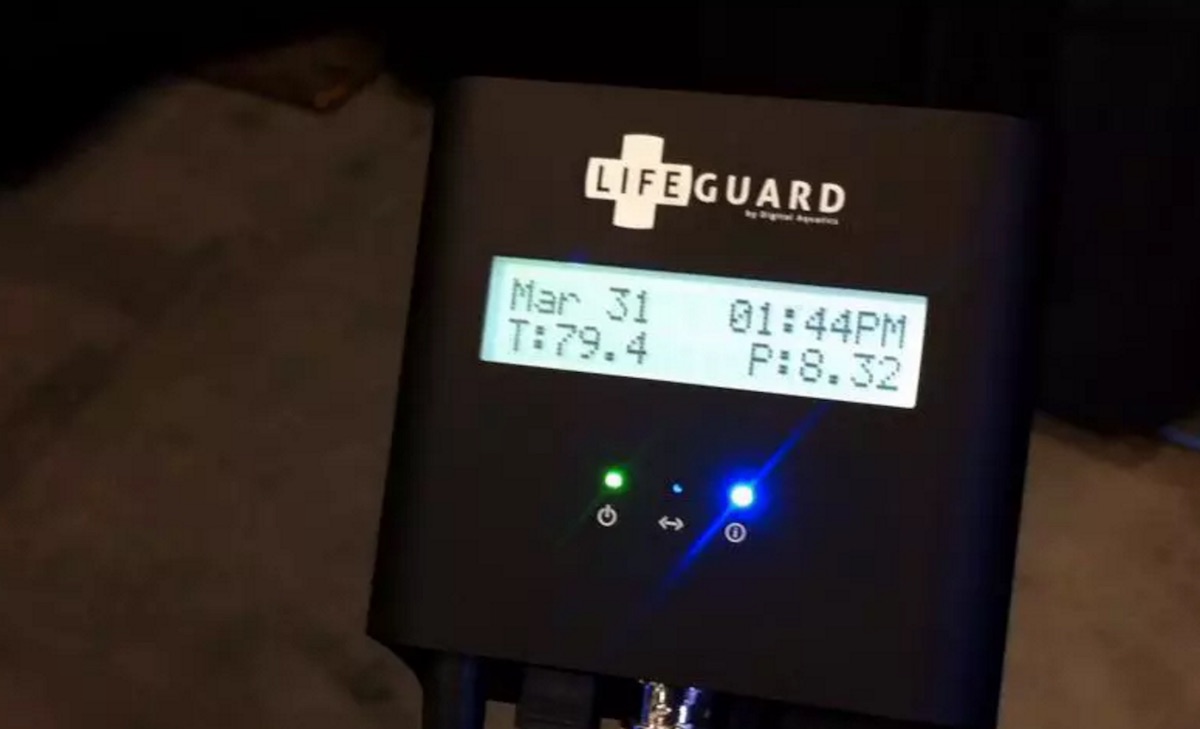 Everything you want to know about the Digital Aquatics Lifeguard in 4 ...