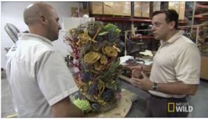 Fish Tank Kings releases first preview clips of the new TV show | Reef ...