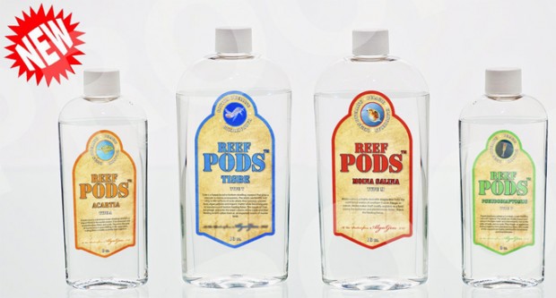 AlgaGen releases five new live ReefPods copepod cultures and food ...