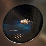 AbyssBox comes online to display deep sea animals under enormous ...