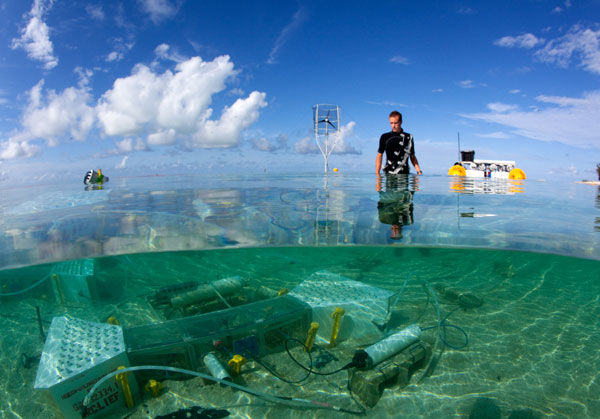 Underwater mini-lab used to study, look for ways to protect reefs from ...