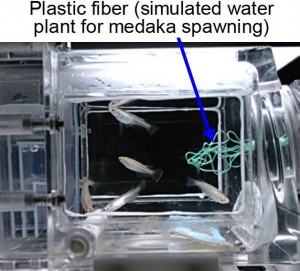 Fish in Space: The Aquatic Habitat is how you build an aquarium in ...