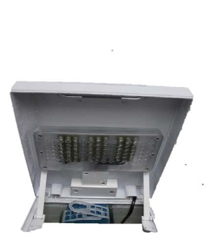 JBJ Cubey is more than a cute name | Reef Builders | The Reef and ...