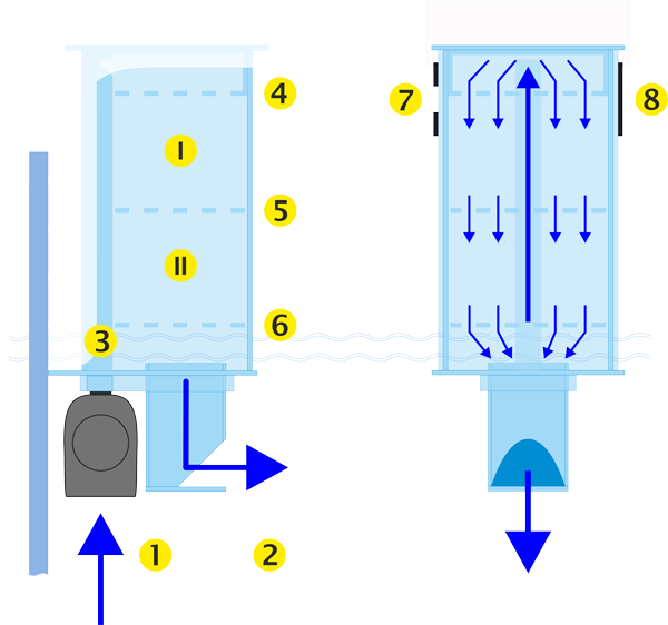 C.A.S.T, A.L.F.A, A.R.M.S, and R.A.N.N from Coral-Shop combine to form ...