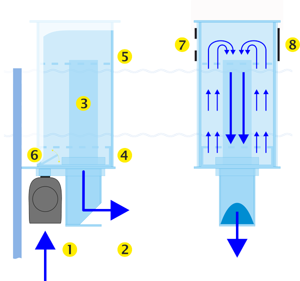C.A.S.T, A.L.F.A, A.R.M.S, and R.A.N.N from Coral-Shop combine to form ...