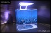 Zetlight Mini and Nano LED aquarium lights are worth a second look ...