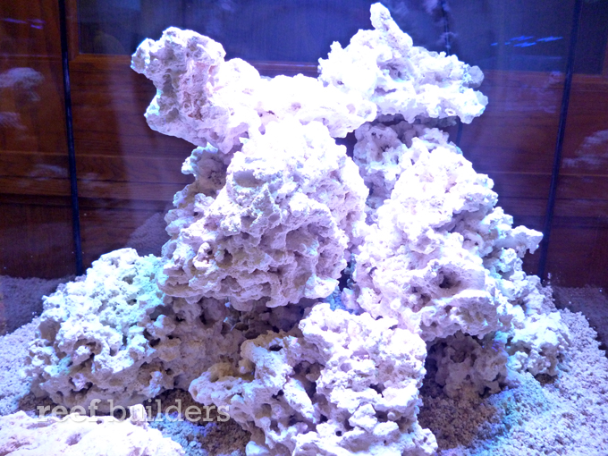 Marco Rocks Smart Start Live takes the pests outta live rock | Reef ...