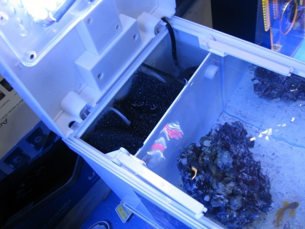 JBJ cubey is an all-in-one pico system | Reef Builders | The Reef and ...