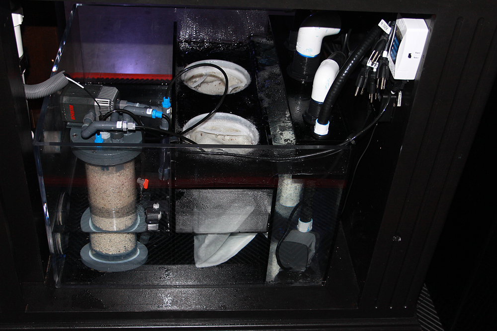 Understanding the Usefulness of GFO - Phosphate Removal Media | Reef ...