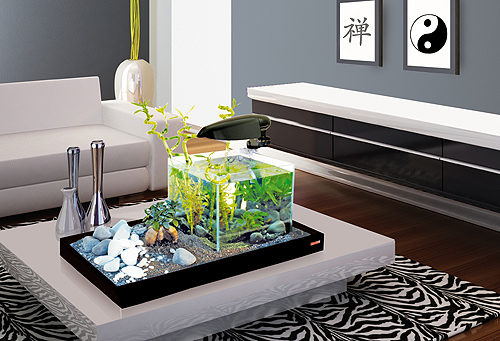 Find your inner peace with Wave Zen aquarium | Reef Builders | The Reef ...