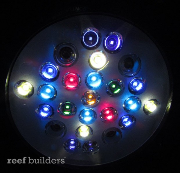 How To Program Your LED Lights For A Reef Tank | Reef Builders | The ...