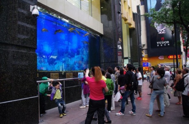 Giant aquarium ruptures, injures 15 at mall in China | Reef Builders ...