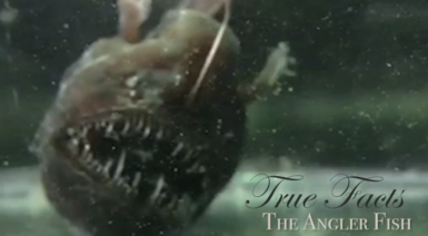 True Facts About The Angler Fish from a hilarious video | Reef Builders ...