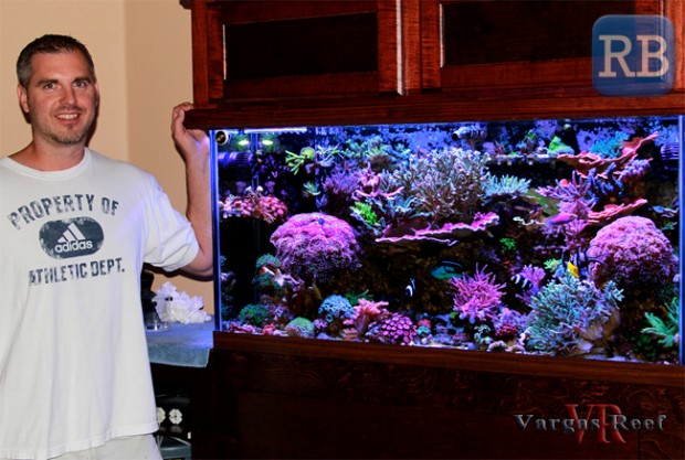 Reef Builder of the Month – Jason Crockett | Reef Builders | The Reef and Saltwater Aquarium Blog