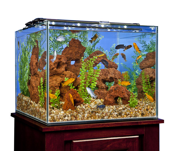 Marineland Frameless Cube Aquariums are now the norm for UPG | Reef ...