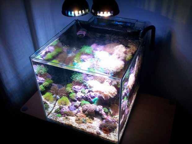 Quadspec V2 LED brings much needed color enhancements to PAR LED ...