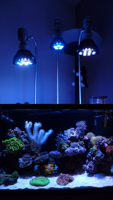 Quadspec V2 LED brings much needed color enhancements to PAR LED ...