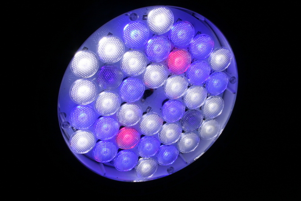 Orphek PR72 improves on the PAR56 LED spotlight | Reef Builders | The ...