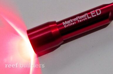 Critter Torch LED flashlight lets you sneak up on your reef | Reef ...