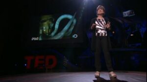 Edith Widder TED Talk explains the role of luminesence in attracting ...
