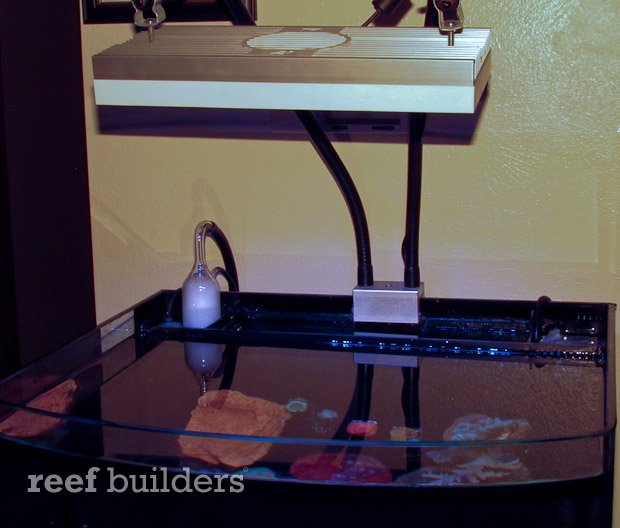AI Vega Review: the promise of LEDs is available now | Reef Builders ...