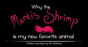 The Oatmeal turns Mantis Shrimp into comic book superhero | Reef ...